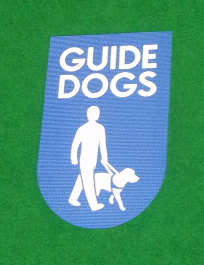 Guide Dogs Logo on Astro Grass | Crazy Golf Blog